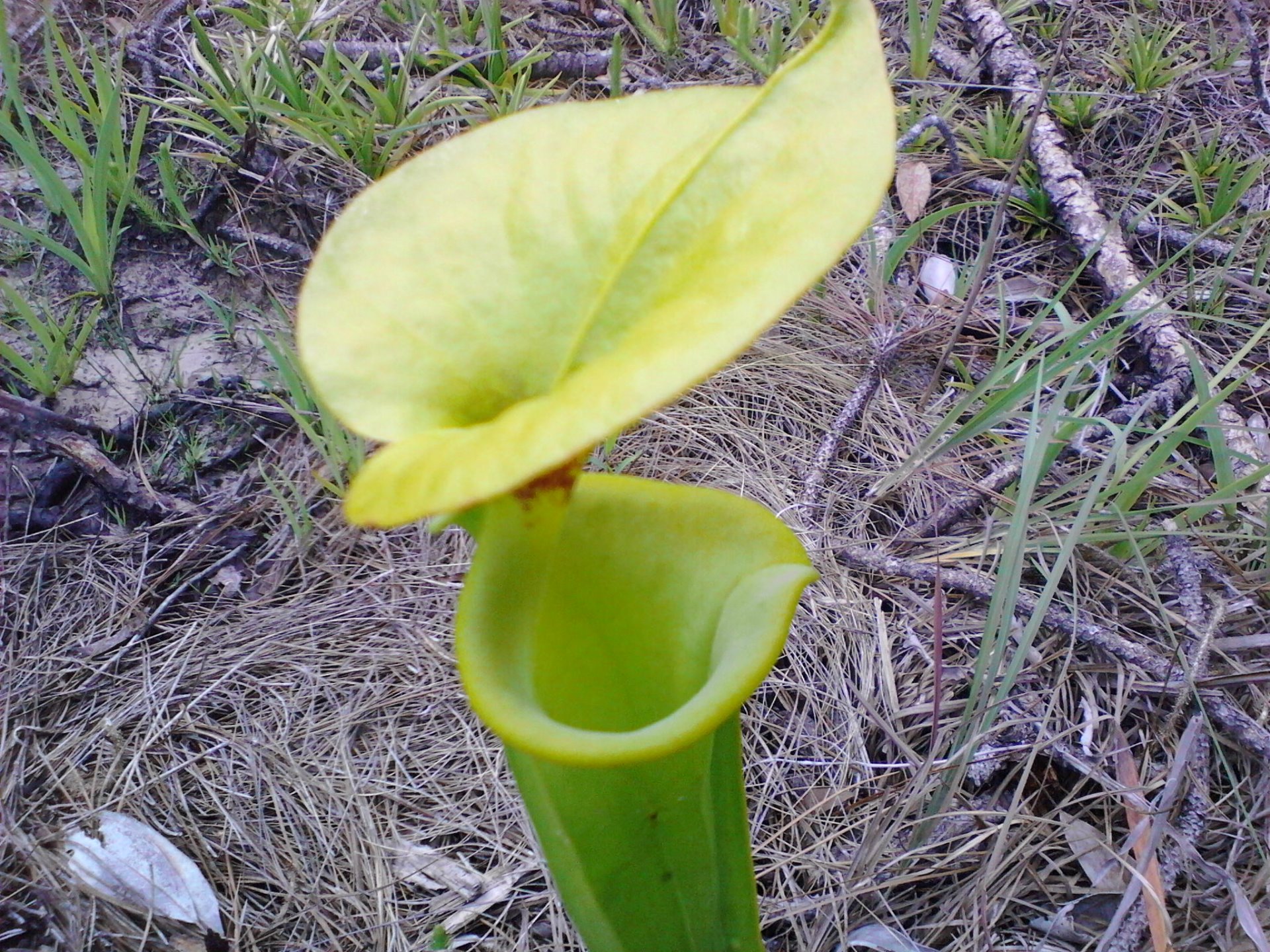 Yvette's Bridal Formal Guestbook :: Sean-terrence-best3