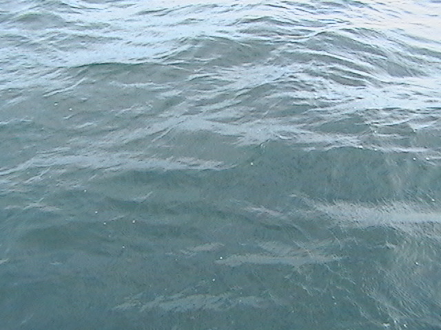 Transcendental Awakening :: Sean-terrence-best3